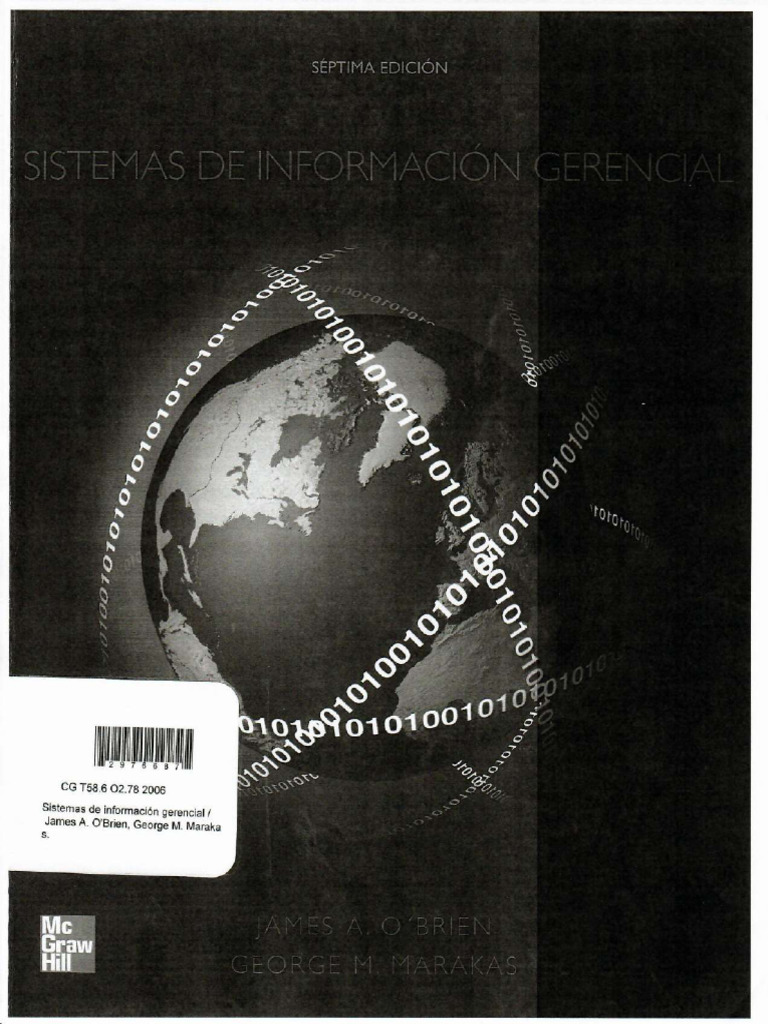 Sistemas de Información Gerencial - Cap 7,8 Subrayado | PDF