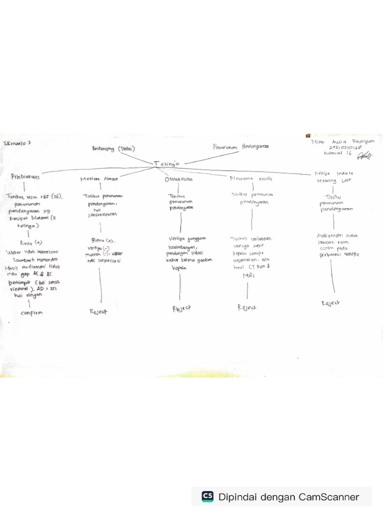 Nisa Aulia Fadiyah - 20210310168 - Konsep Map 3 | PDF