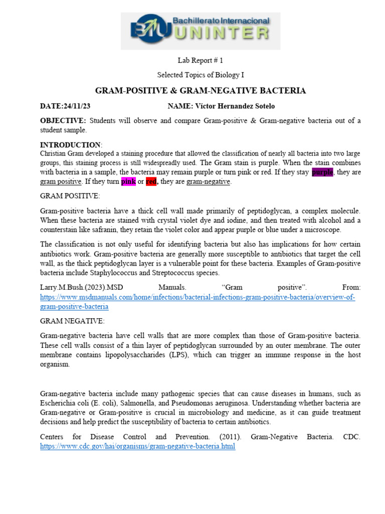 Gram Positive and Gram Negative Lab Practice - Victor H. | PDF | Gram Positive Bacteria | Gram ...