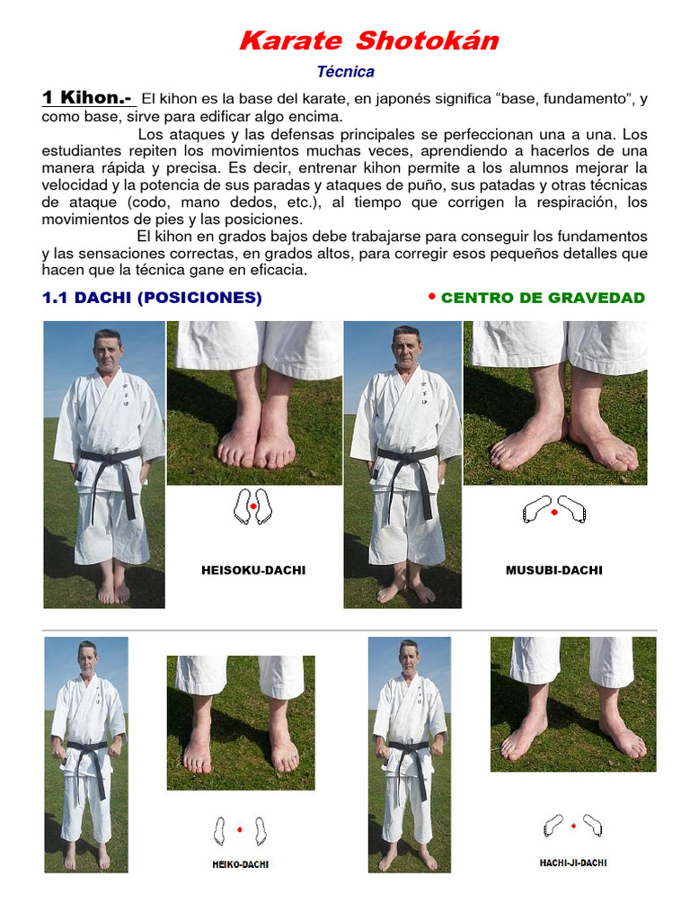 Karat Tee | PDF | Kárate | Kata