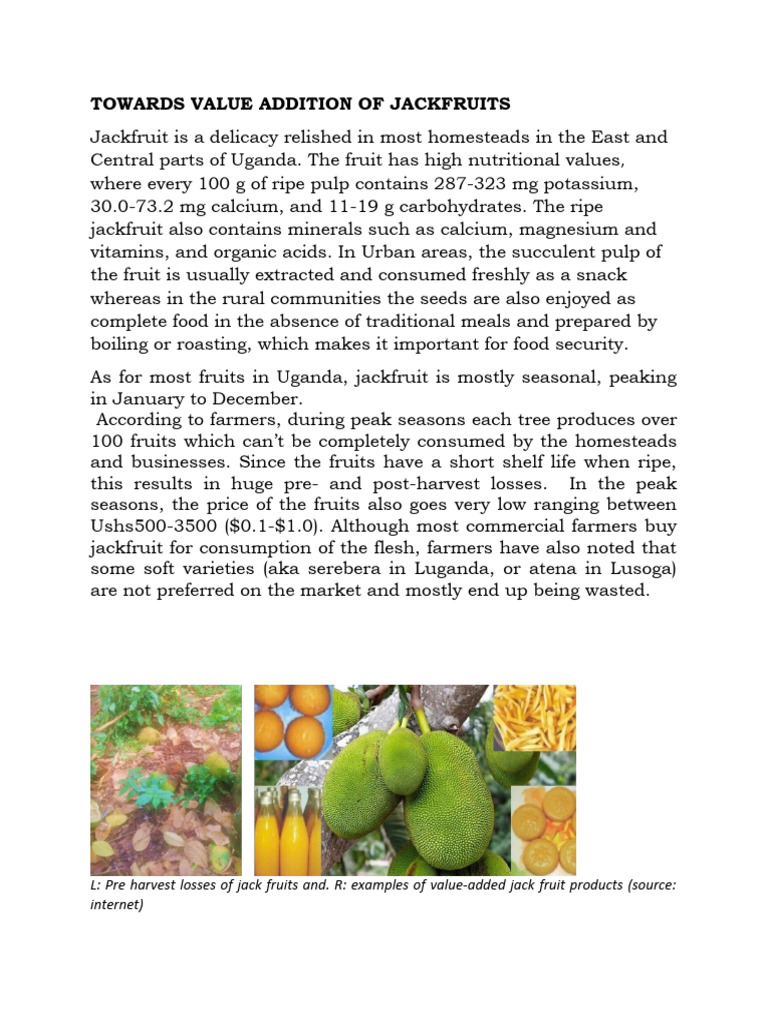 Enhancing Jackfruit Value Addition | PDF | Foods | Plants