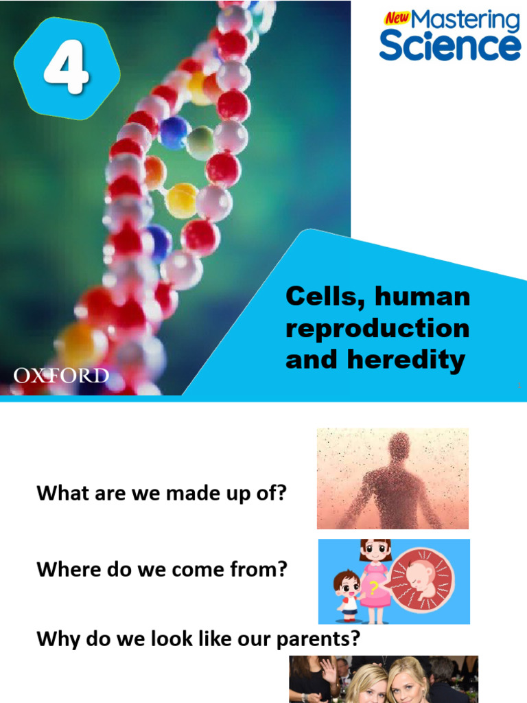 Ch. 4.1 Teaching | PDF | Cell (Biology) | Chromosome