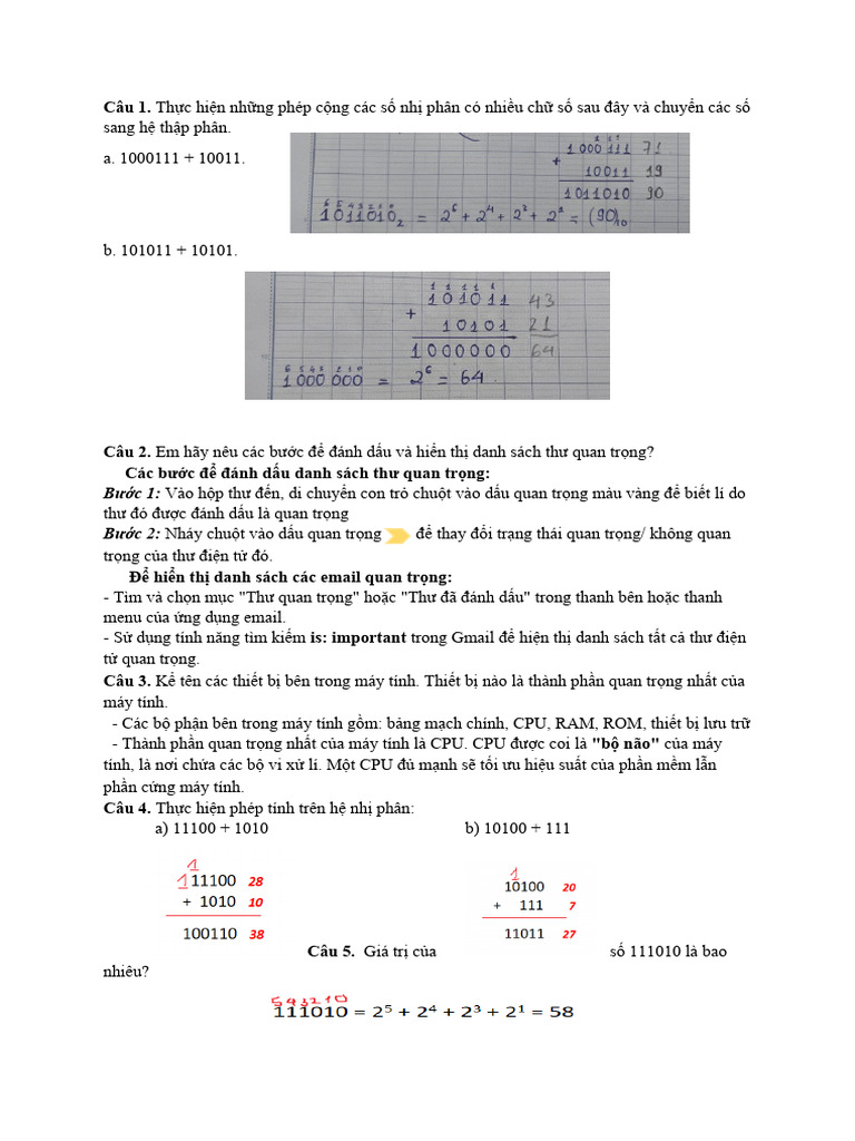 Tự luận gk1 tin 11 | PDF