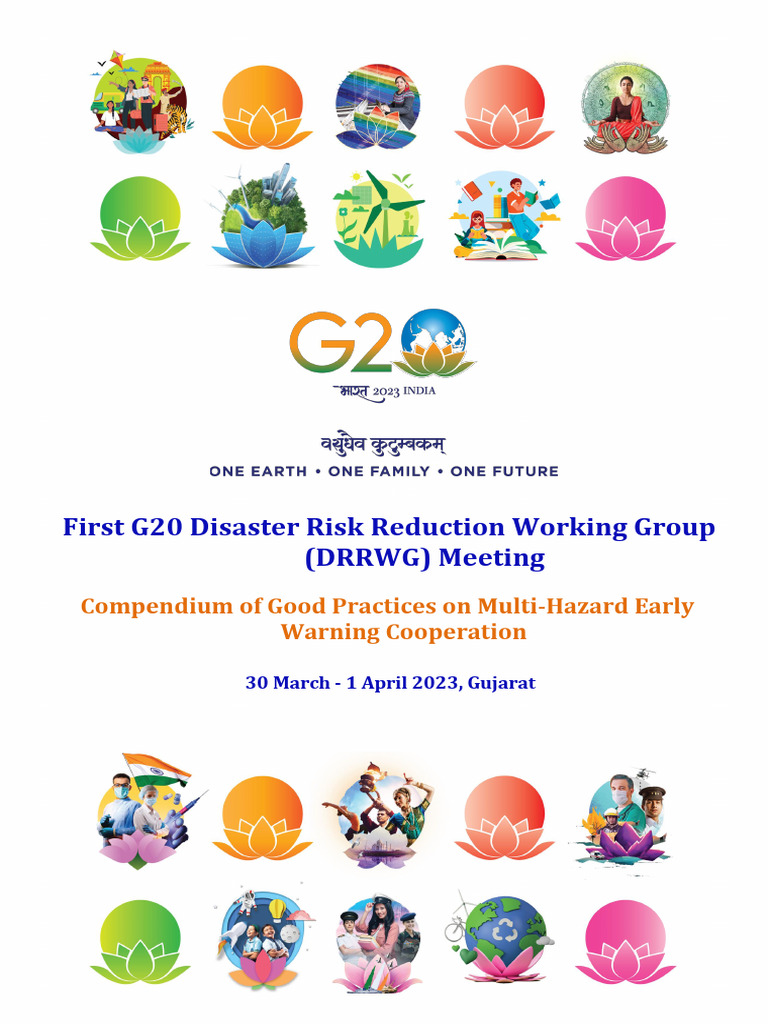 Disaster Risk Reduction Working Group | PDF | Disaster Risk Reduction ...
