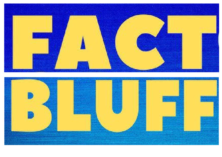 Fact or Bluff | PDF