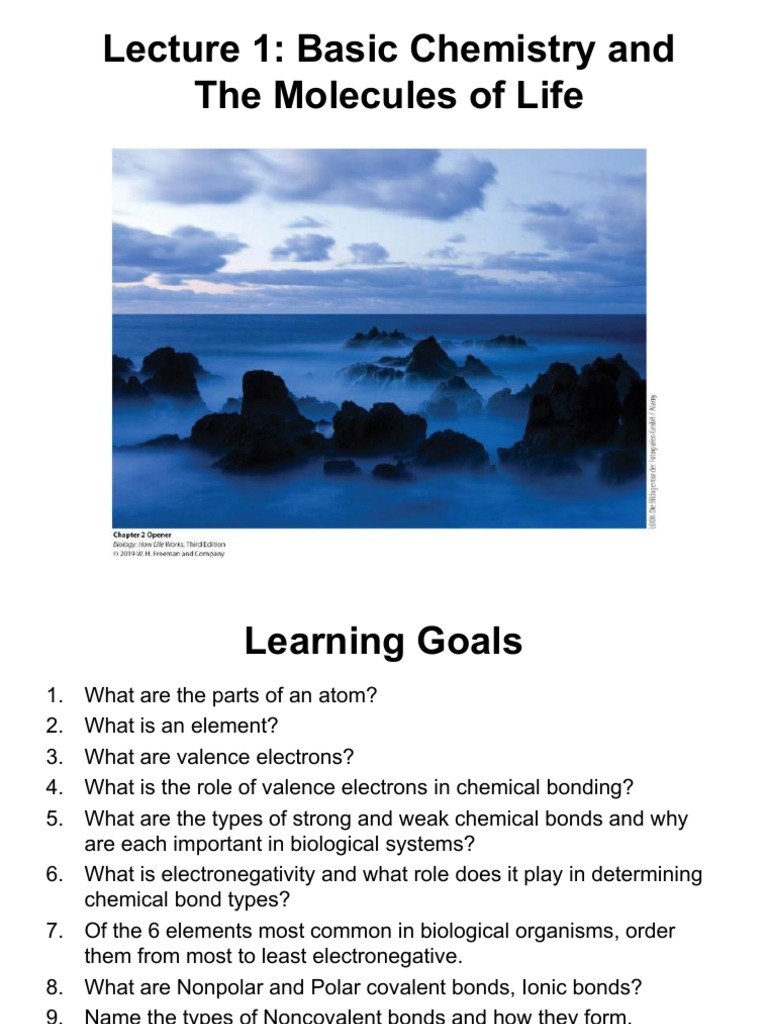 Lecture 1 - Basic Chemistry, Carbon, Macromolecules 2023 | PDF ...