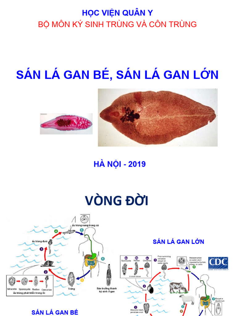 San La Gan Be San La Gan Lon - BG Soan 2019 | PDF