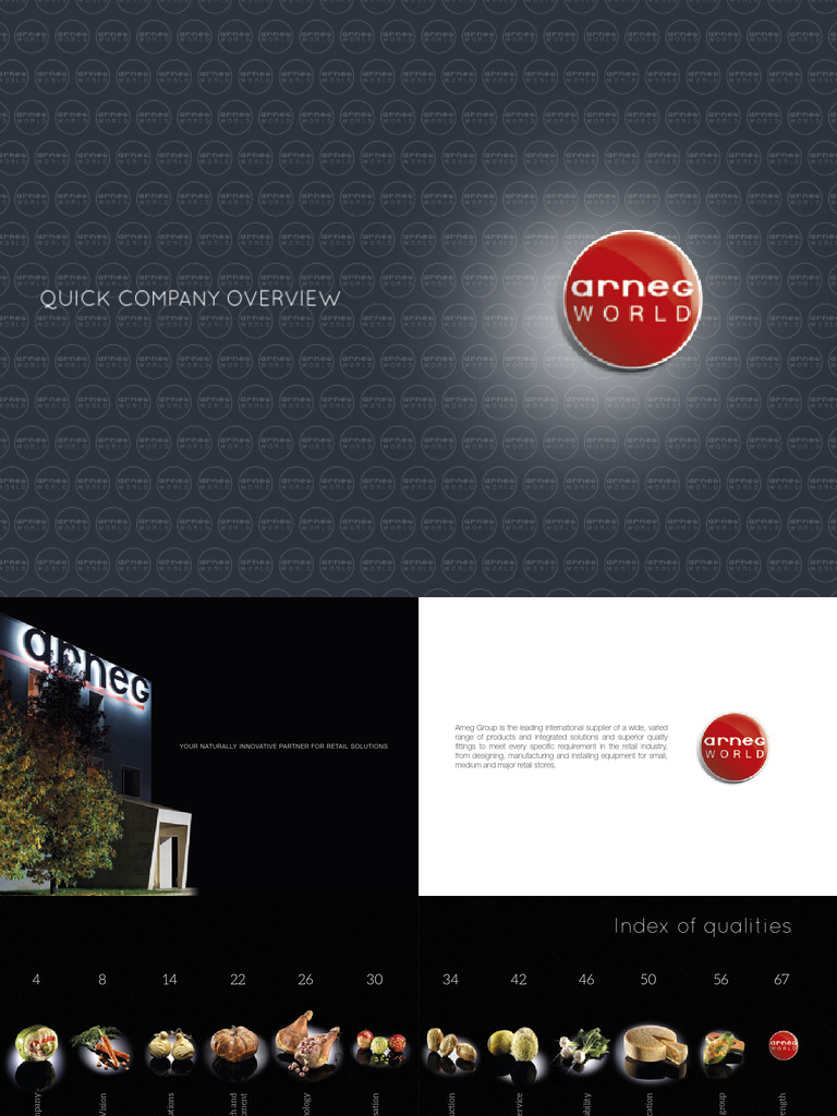 Quick Company Overview en | PDF | Revenue | Potato
