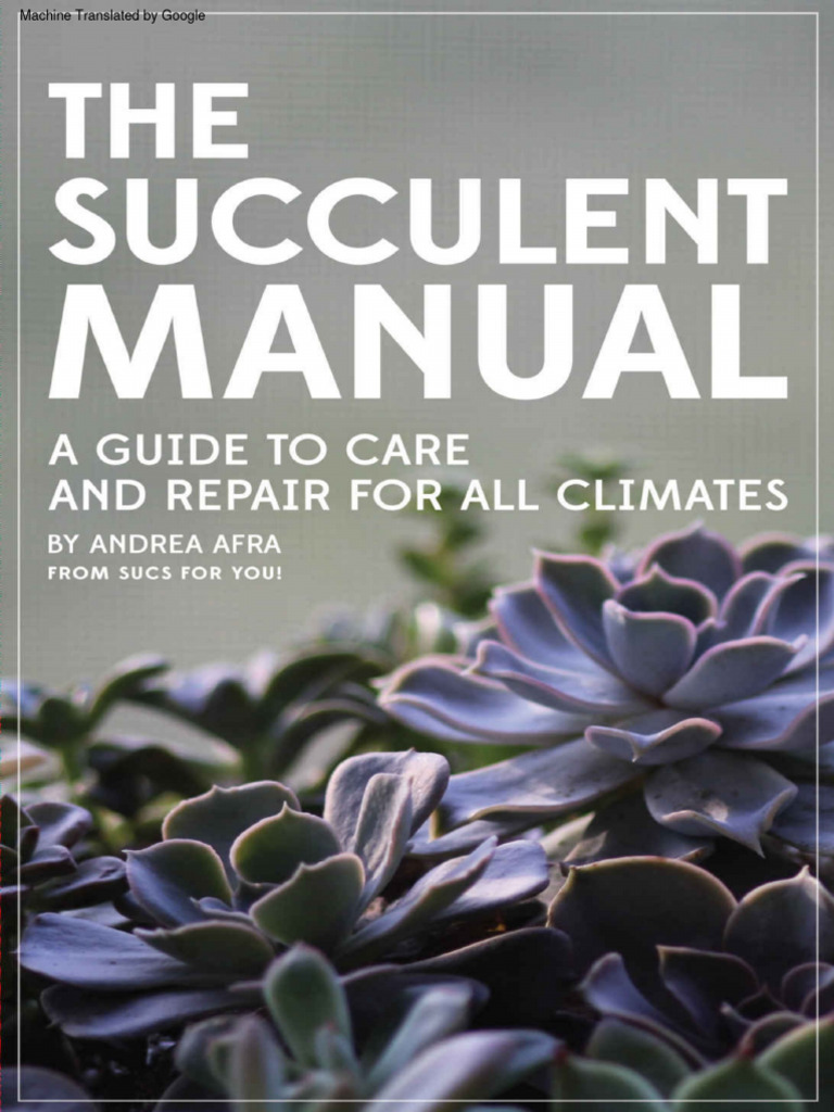 El Manual de Las Suculentas Una Guía para El Cuidado y Reparación de Todos Los Climas Por Andrea ...