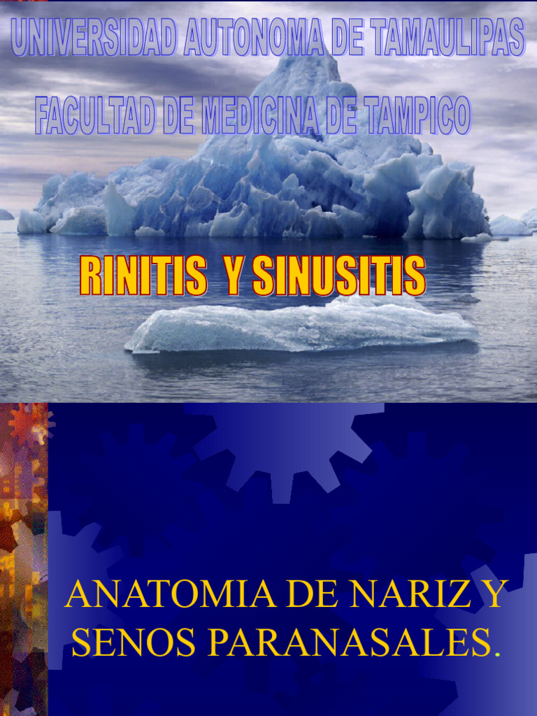 Rinitis y Sinusitis | PDF | Alergia | Citocina