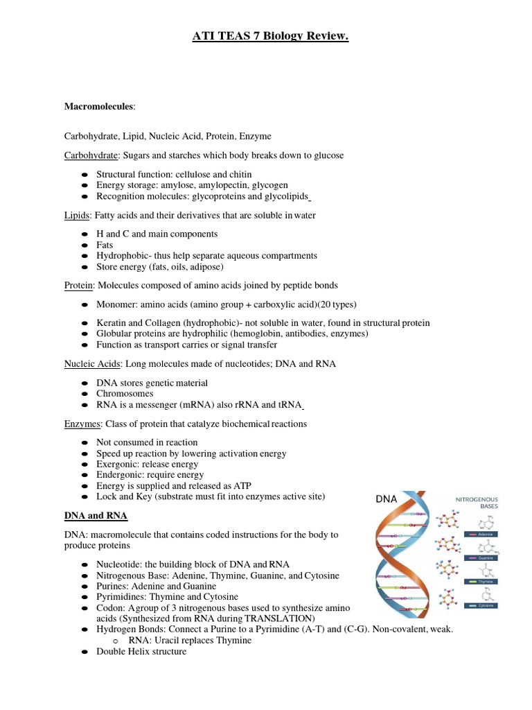 TEAS 7 Biology Essentials | PDF | Lymphatic System | Dna Replication