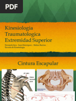 Luxacion Acromioclavicular | PDF | Articulación | Hombro
