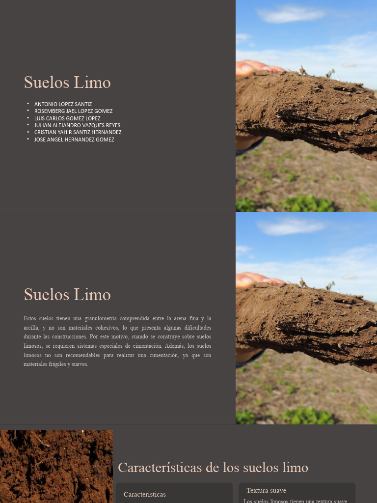 Suelos Limosos: Características y Usos | PDF | Suelo | Agricultura