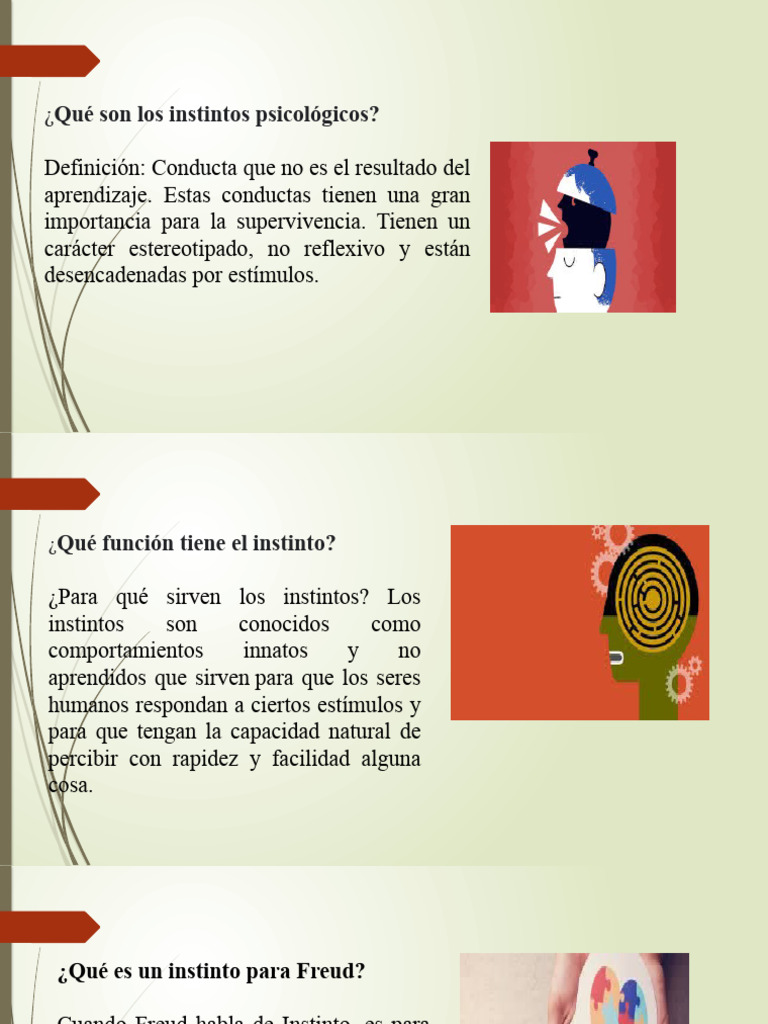 Instintos, Tipos y Funciones Psicologicas | PDF