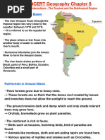 Ava'S - Amazon Rainforest Brochure | PDF | Amazon Rainforest | Trees