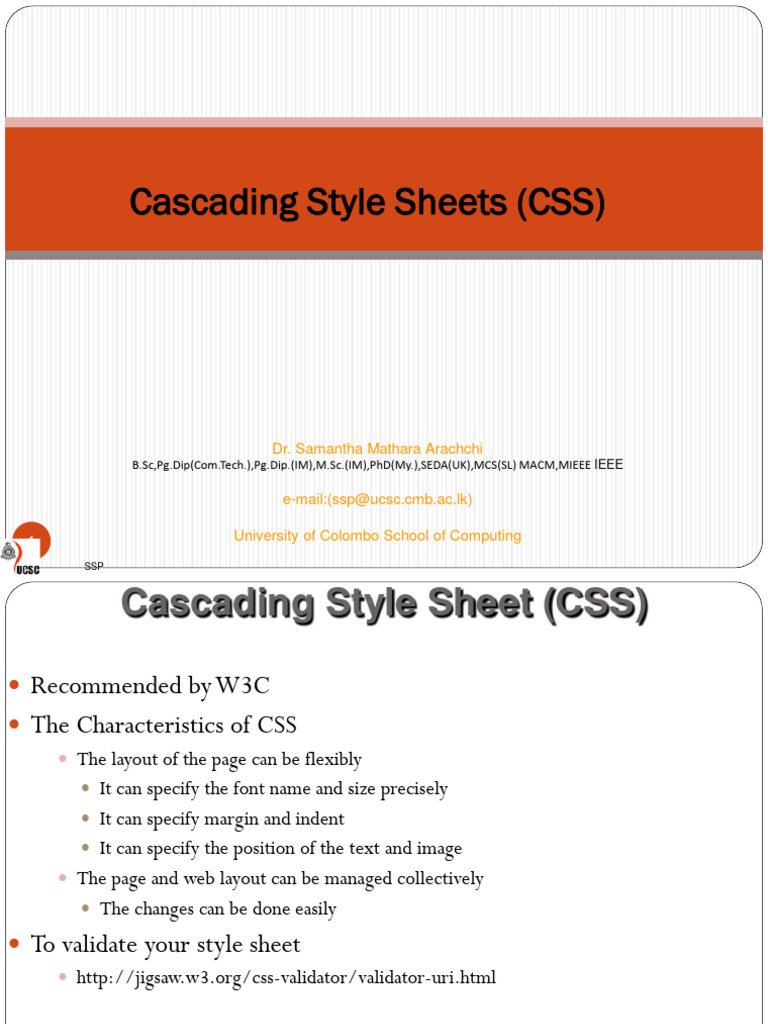 Cascading Style Sheets (CSS) | PDF | Html Element | World Wide Web