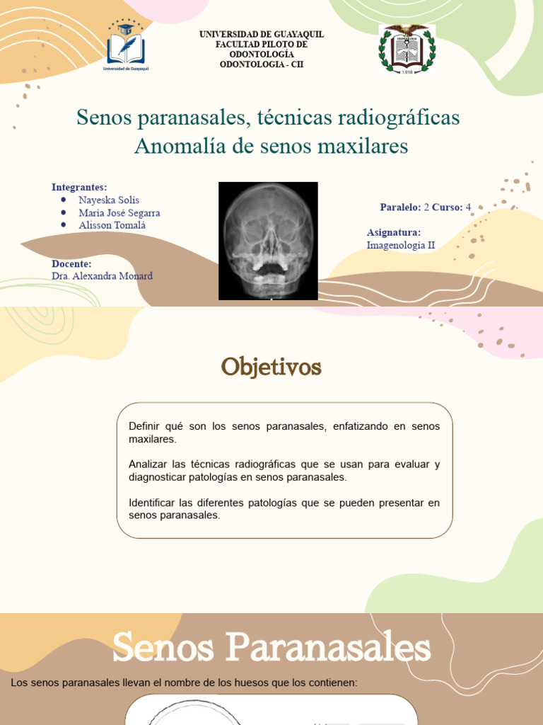 Técnicas Radiográficas de Senos Paranasales | PDF | Enfermedades y ...