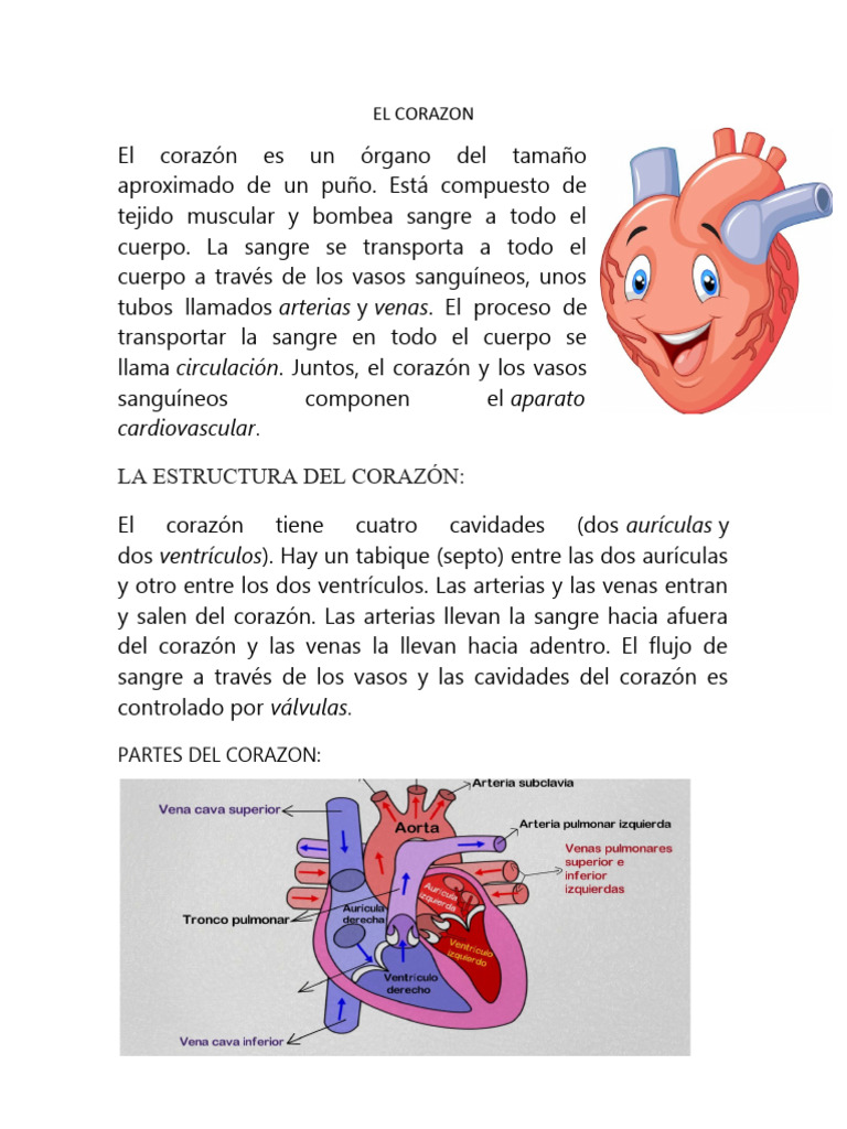 El Corazon | PDF