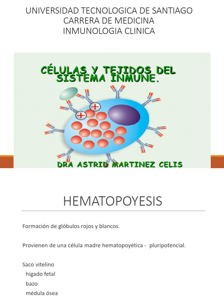 Células y Tejidos Del Si | PDF | Hematopoyesis | Citocina