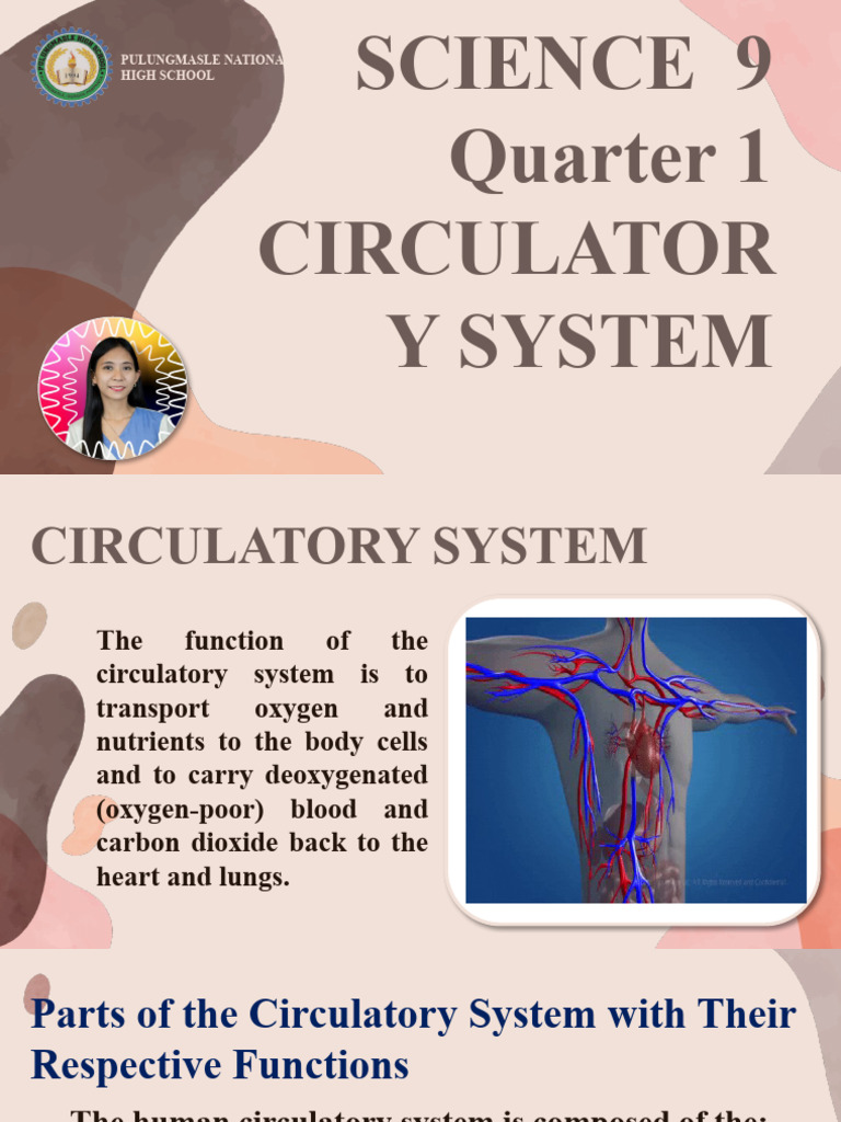 Lecture in Circulatory System | PDF | Blood | Blood Vessel