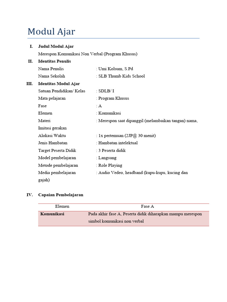 Modul Ajar Program Khusus | PDF