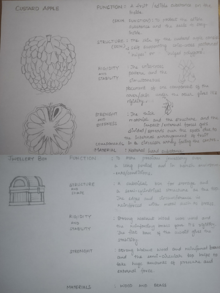 Structures Assignment 1 Pdf 