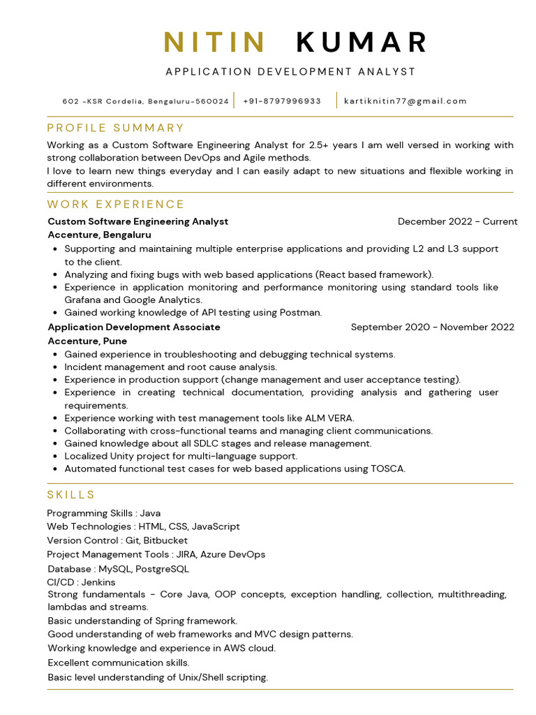 Standard Resume Nitin | PDF | World Wide Web | Internet & Web
