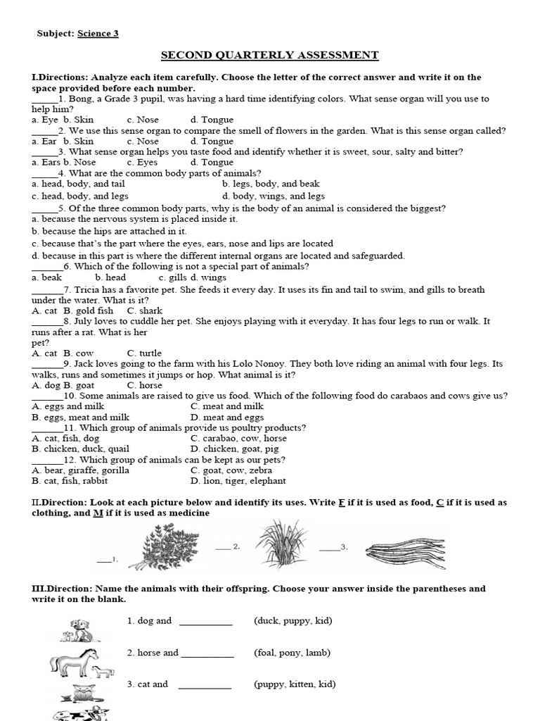 Grade 3 001 | PDF | Senses | Plants