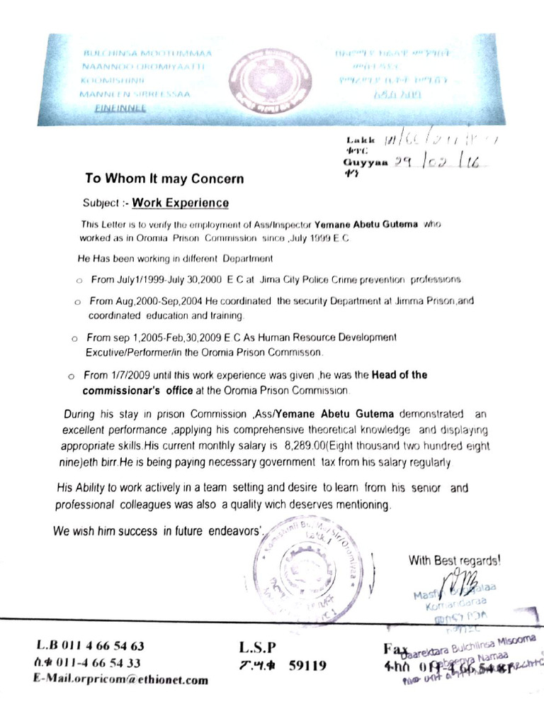 Yemane Document | PDF