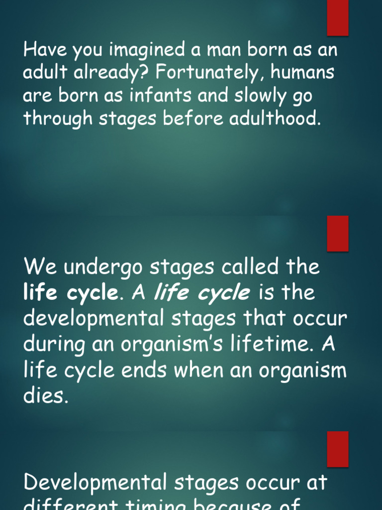 Life Cycle of Animals | PDF | Pupa | Frog