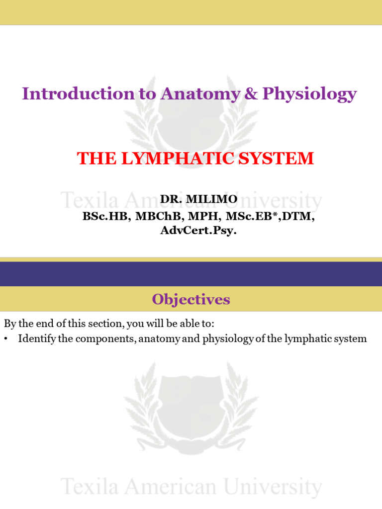 7.1 The Lymphatic System | PDF | Lymphatic System | Lymph Node