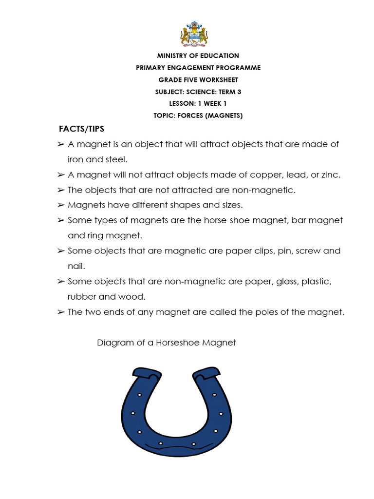 Grade 5 Science Weeks 1-6 Worksheets - Term 3 | PDF | Electricity ...