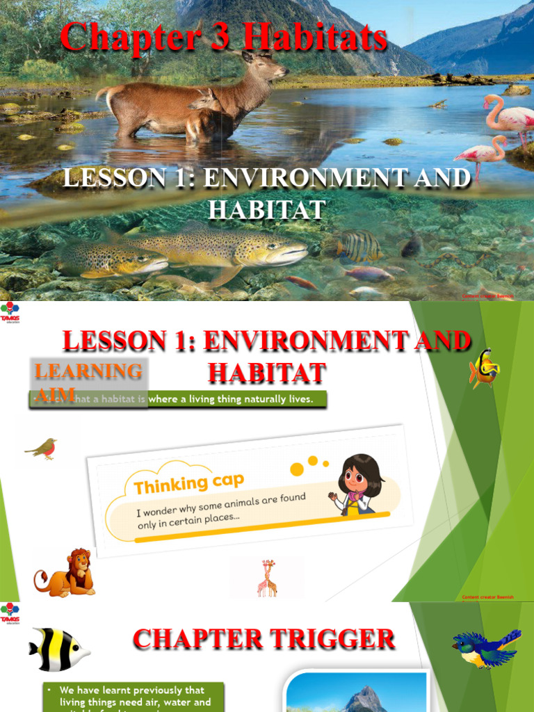 Grade 1 Chapter 3 Envoirment and Habitat Lesson 1 | PDF | Habitat | Gardens