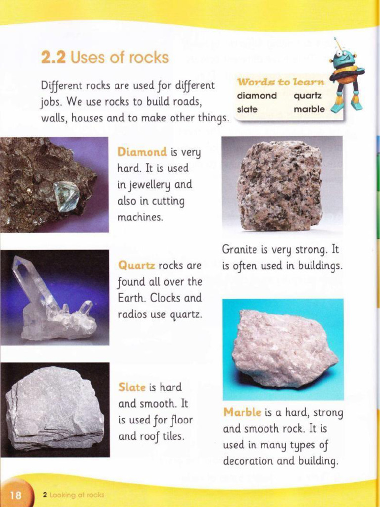 Cambridge Primary Science 2 Learners Book PDF 19 | PDF