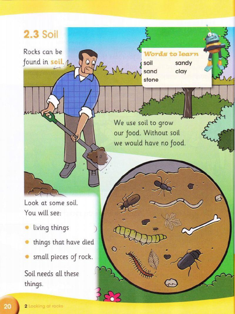 Cambridge Primary Science 2 Learners Book PDF 21 | PDF