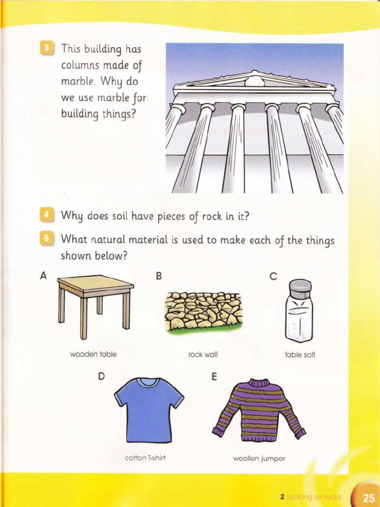 Cambridge Primary Science 2 Learners Book PDF 26 | PDF