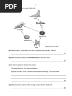 Year 6 ScienceCheckpoint 2025 | PDF | Rock (Geology) | Force