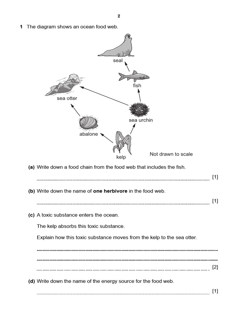 Science Mock Paper 1 | PDF | Rock (Geology) | Sedimentary Rock