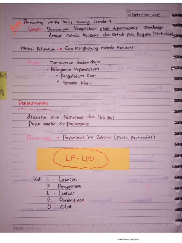 Catatan LPLPO Puskes | PDF