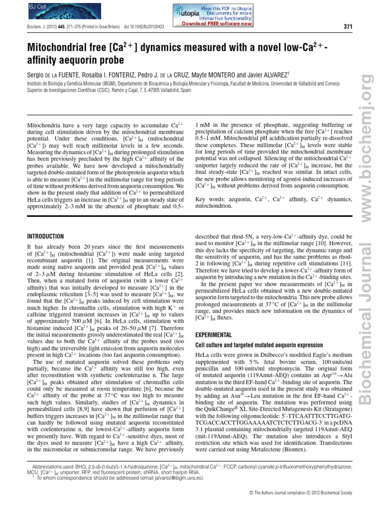 Mitochondrial Free (Ca2+) Dynamics Measured With A Novel Low-Ca2 ...