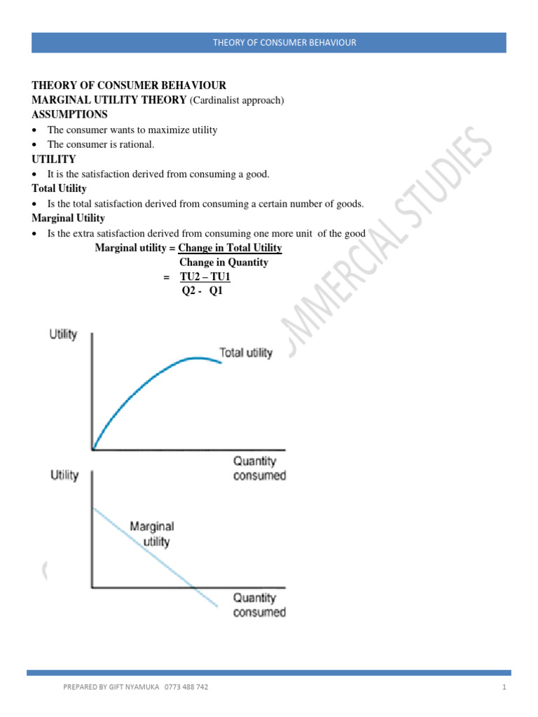 THEORY OF CONSUMER BEHAVIOUR 69pgs | PDF | Utility | Economic Equilibrium