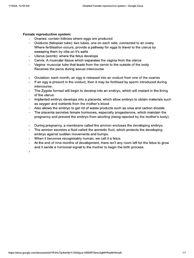 Detailed Female Reproductive System | PDF