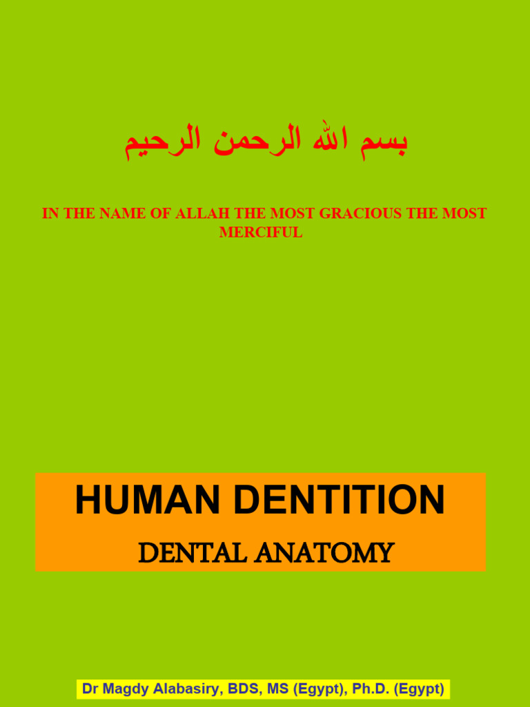 2 - Human Dentition Intro | PDF | Dental Anatomy | Tooth
