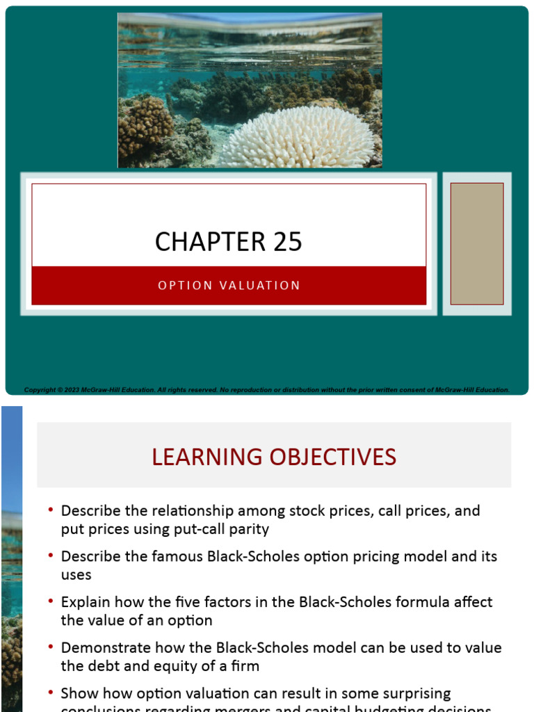 Ross Fundamentals of Corporate Finance 13e CH25 PPT-5 | PDF | Option (Finance) | Greeks (Finance)