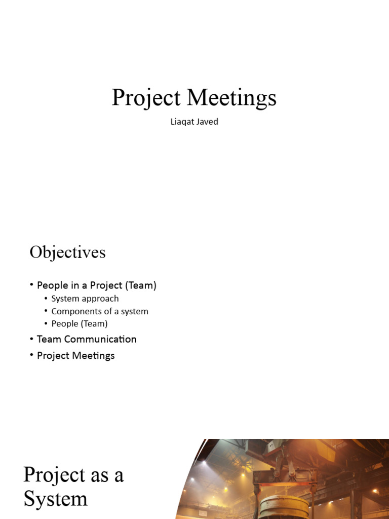 Project Meetings | PDF | Expert | Web Conferencing