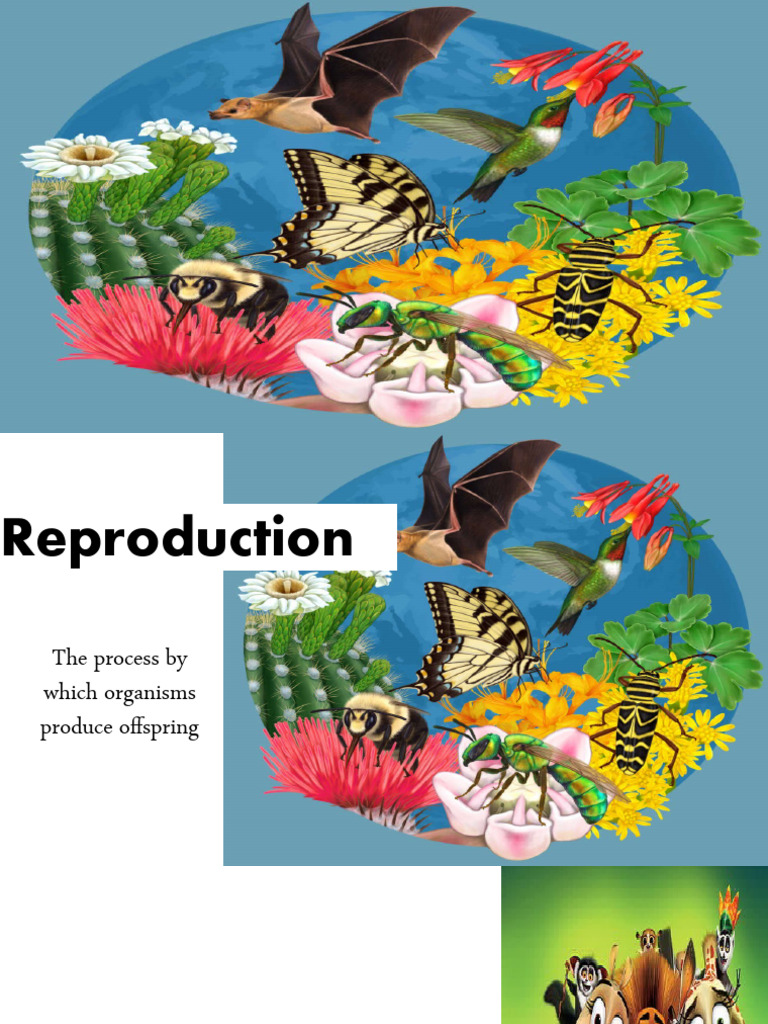 WEEK 4 Reproduction | PDF | Reproduction | Plant Reproduction