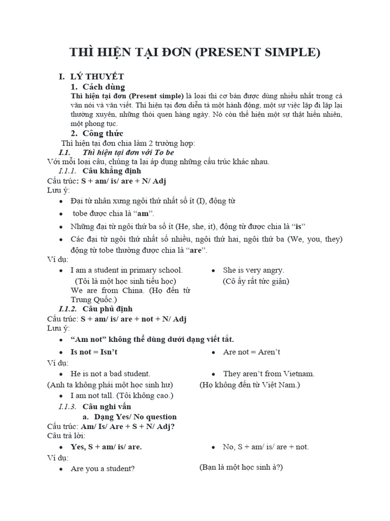Present Simple Theory and Assignment (Vietnamese) | PDF