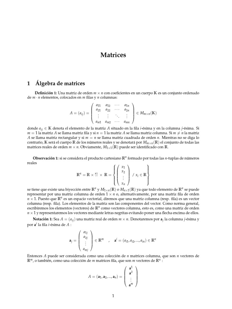 Leccion 1_Matrices | PDF | Matriz (Matemáticas) | Espacio vectorial