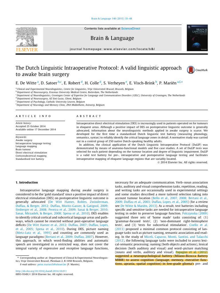 DULIP - Awake Craniotomy | PDF | Word | Speech