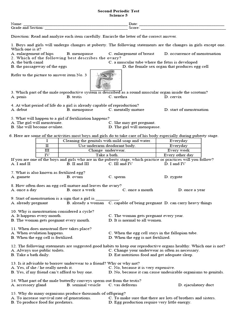 Science 5 | PDF | Flowers | Pollination